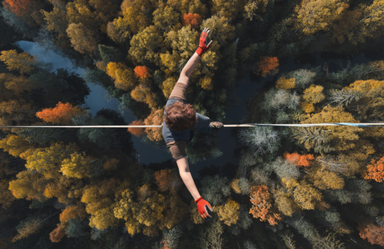 Value creation vs. value capture - M&A Community Portal